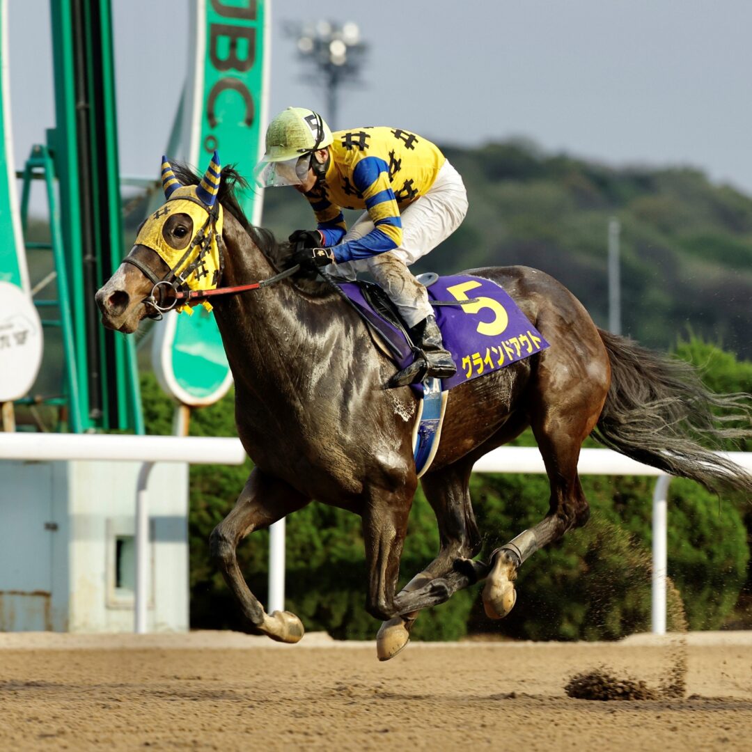 ニュースリリース | 高知けいば公式サイト